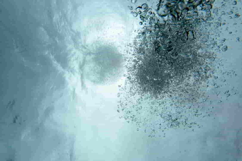 Les Poissons • Astro Caca